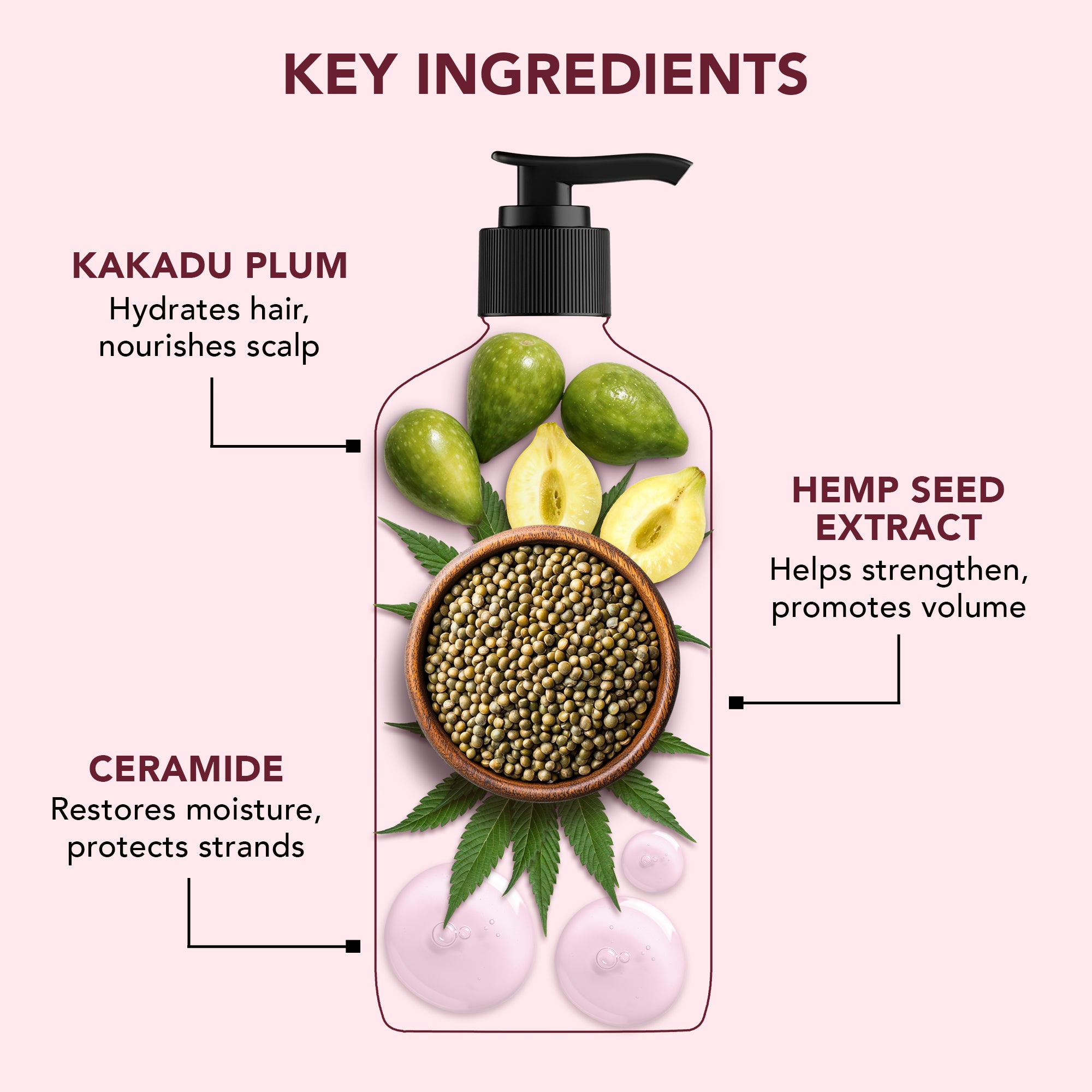 Defrizz & Hydrate Shampoo with Hemp Seed Extract & Ceramide – Botanic ...