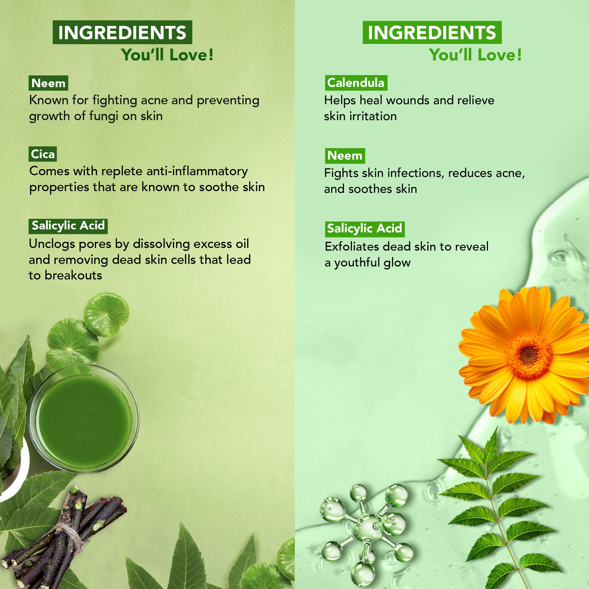 Botanic Hearth Neem Face Wash 100ml with Neem Body Wash 245ml Combo se