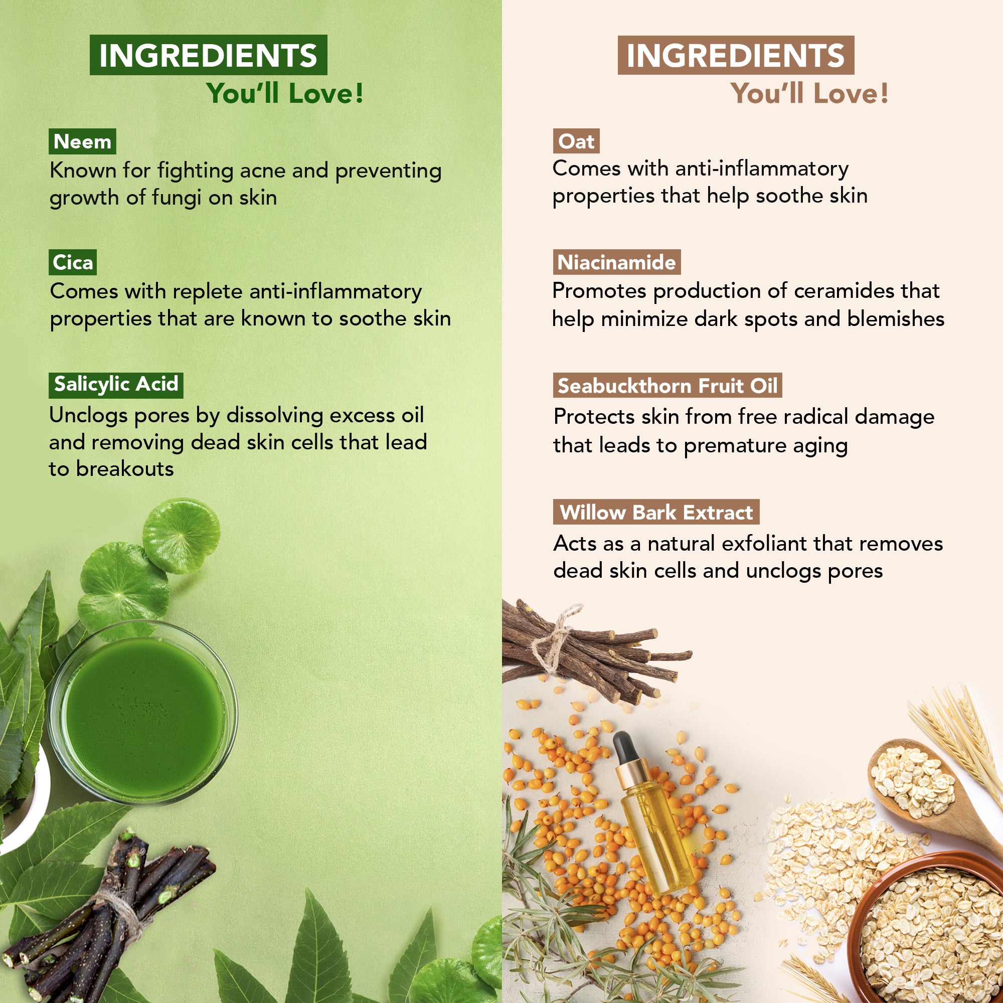 Botanic Hearth Neem, Cica & Salicylic Acid Face Wash with Oat & Niacin